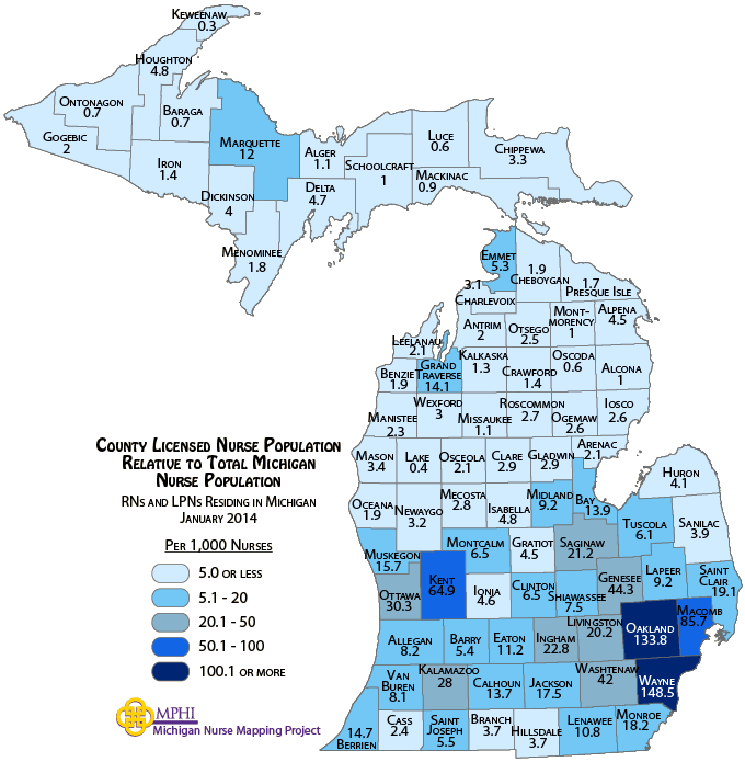 Michigan Nurse Mapping Project