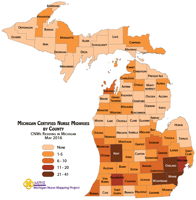 Michigan Nurse Mapping: Licensed Nurse Population By County and License ...